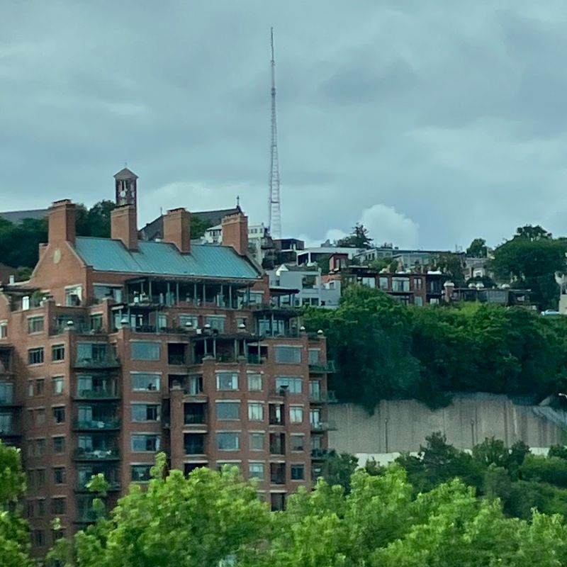 Amelia Lastname (@ameliamarie) • Neobook