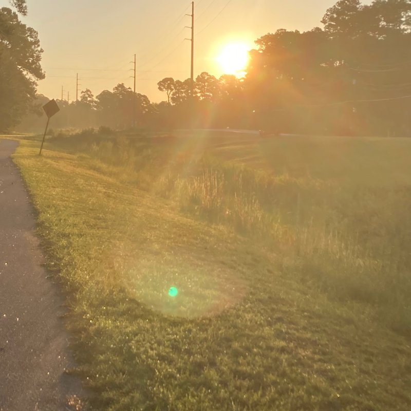 Mallory Foster (@malloryf700) • Neobook