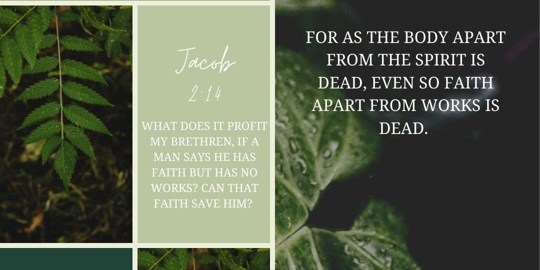 Addie Peter (@45659) • Neobook