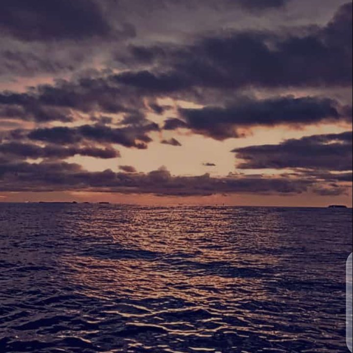 Beenish Fatima (@expensive_kookies) • Neobook