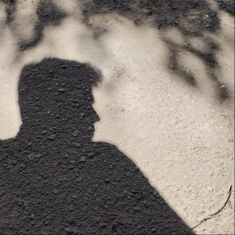 Alexander Shephard (@nektoshephard) • Neobook