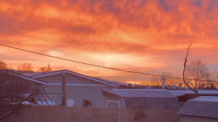 Anna Grant (@batmanlover) • Neobook