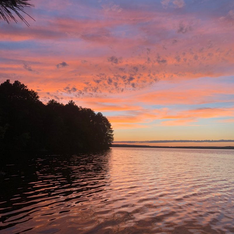 Morgan S (@84635) • Neobook