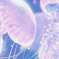 Andra Alexander (@andra) • Neobook