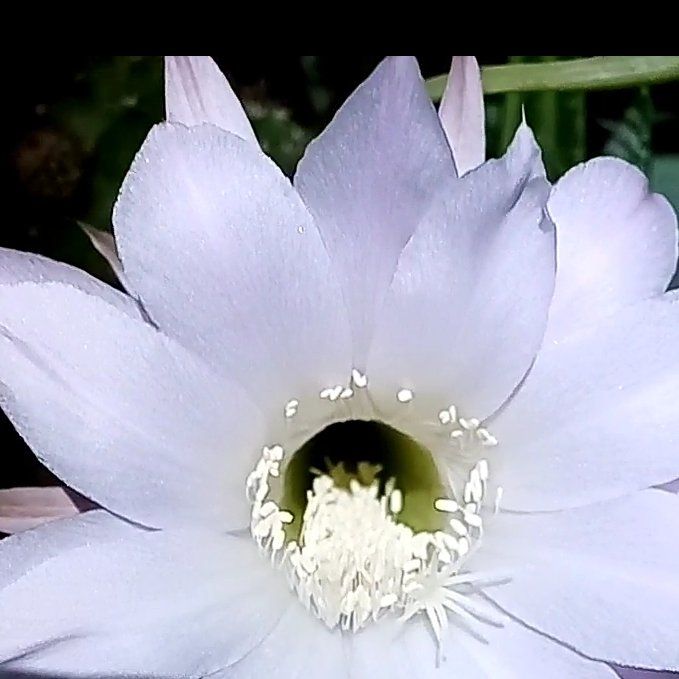 Екатерина Милославская (@3027) • Neobook