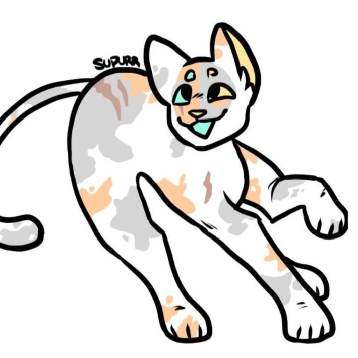 Nameless Bear (@mapleheart_cats) • Neobook