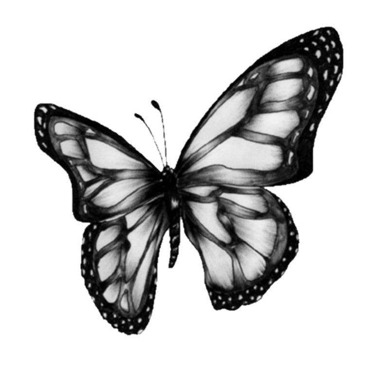 jules morgan (@julesmorgxn) • Neobook