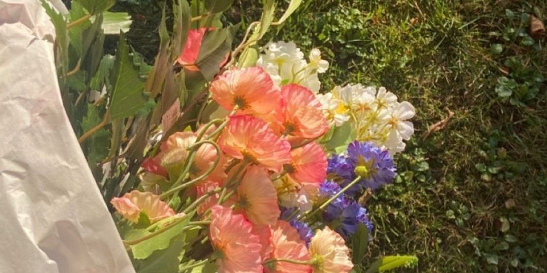 Bri Barrow (@niceonejames) • Neobook