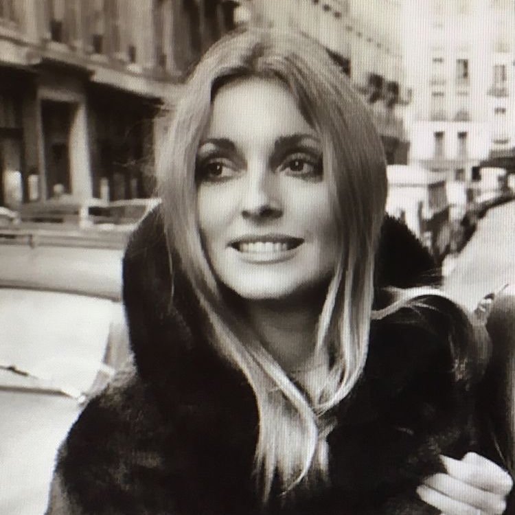 Lily Villegas (@lilya975) • Neobook